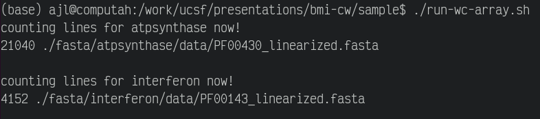 A review of Bash and UCSF Wynton